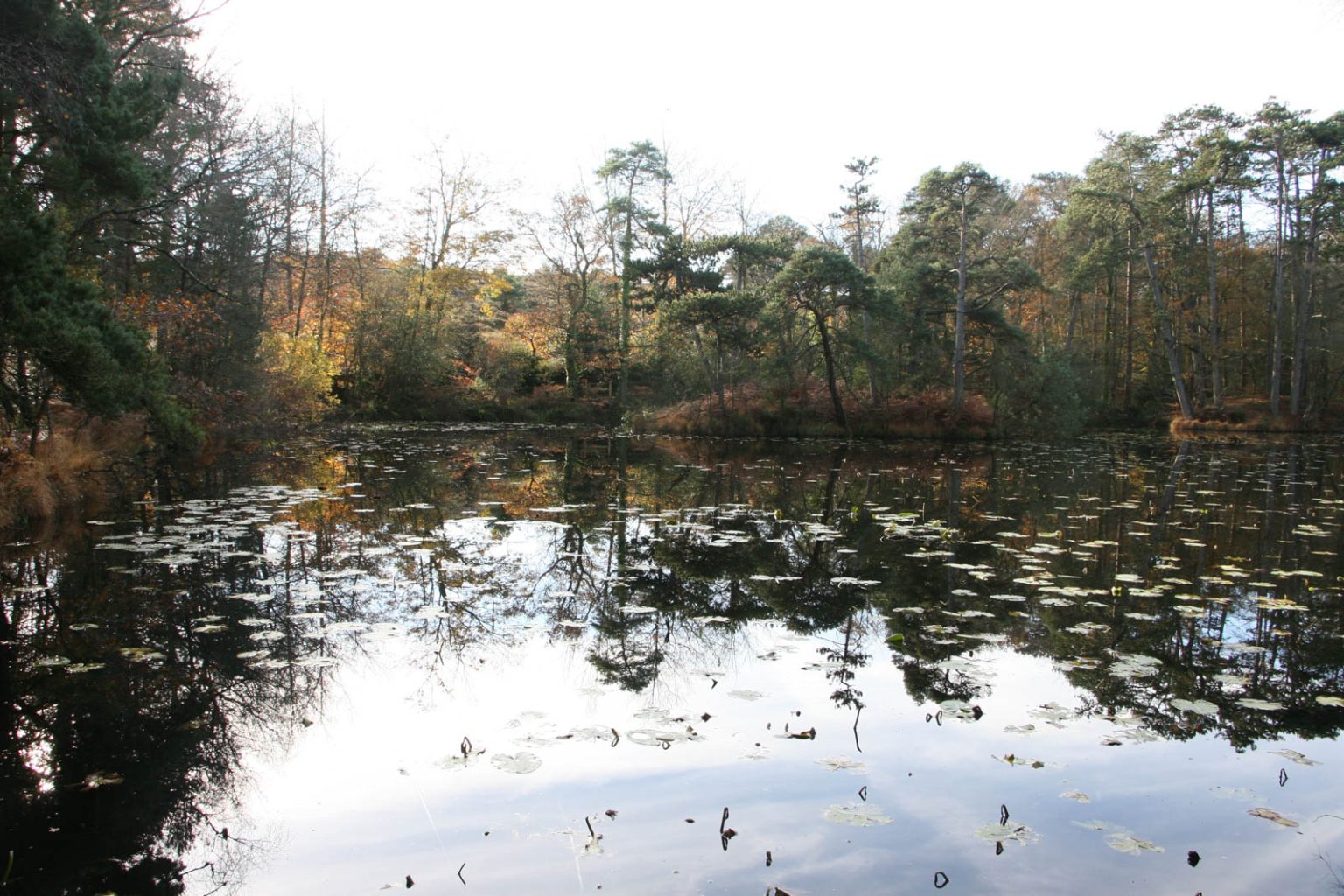 Bystock Pools - Exmouth History
